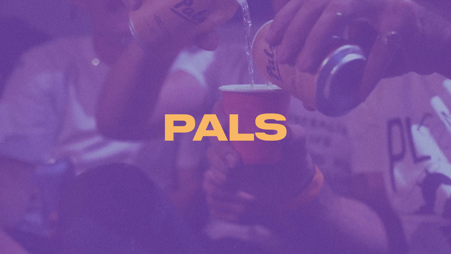 Pals – Happy Studios
