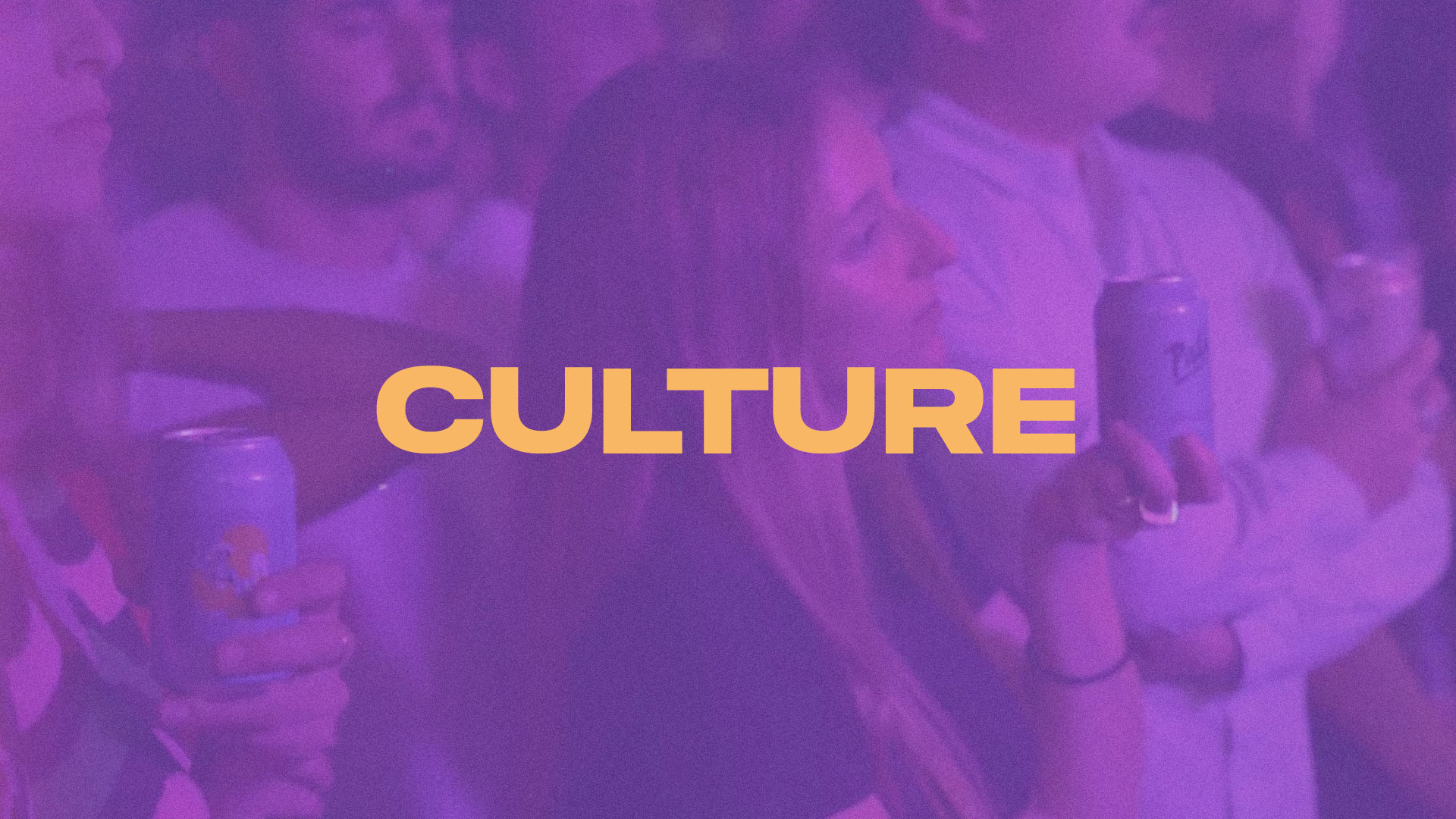 Pals – Happy Studios